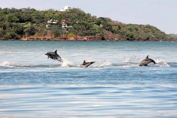 Family-Friendly Activities in Goa Beyond Beaches