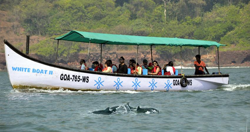 Family-Friendly Activities in Goa Beyond Beaches